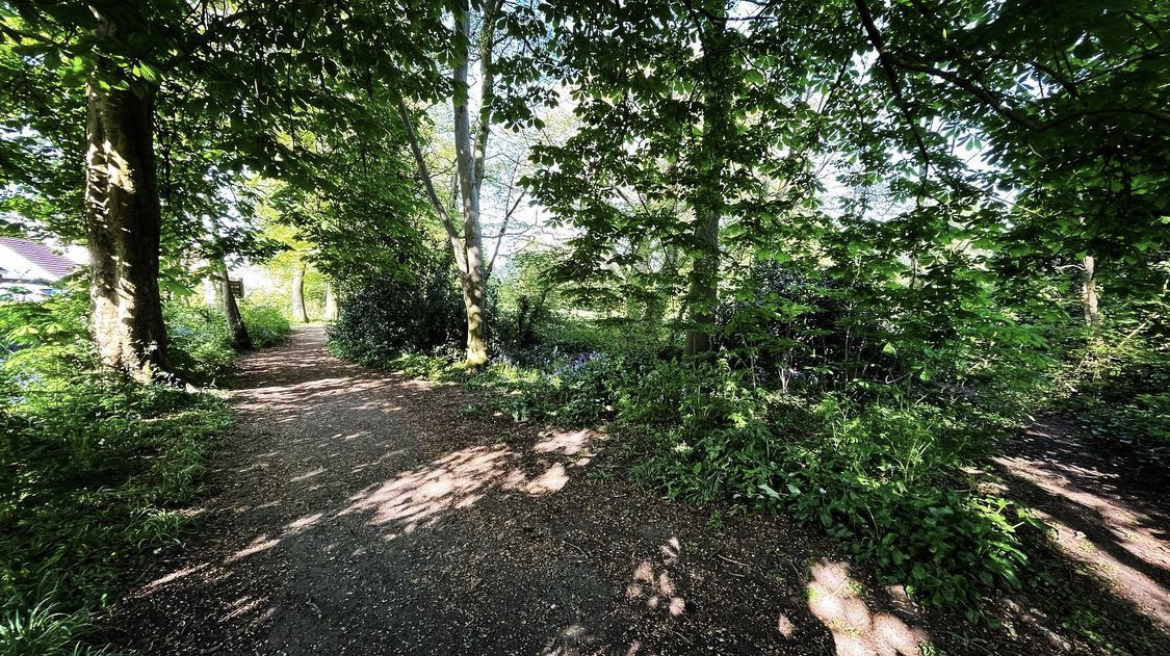 Did you know? - Longton Nature Reserve - Lancastrian Estates